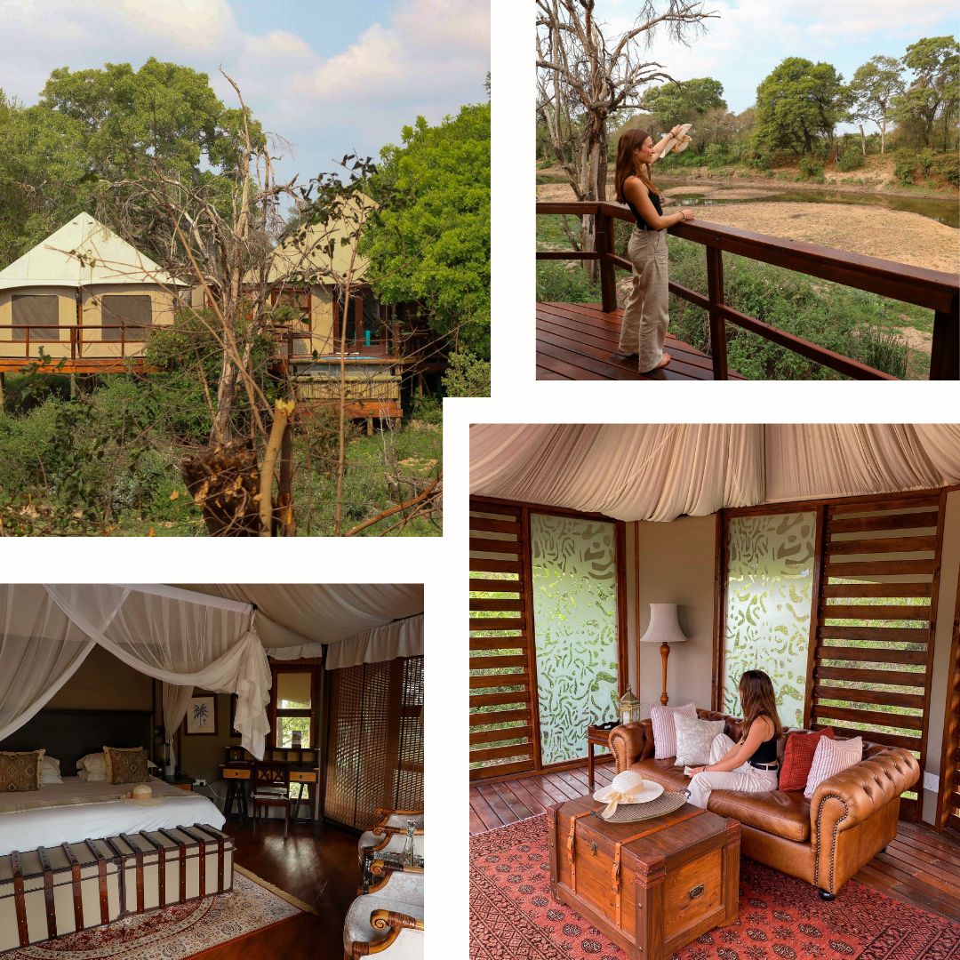 Safari au Parc Kruger : guide pratique et conseils (2026)