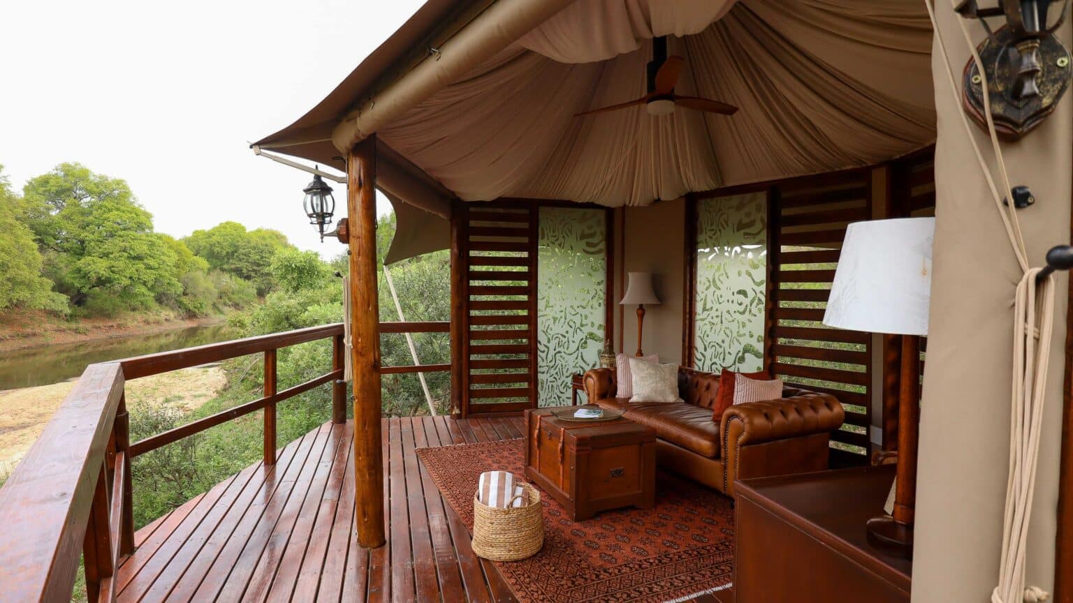 Safari au Parc Kruger : guide pratique et conseils (2026)